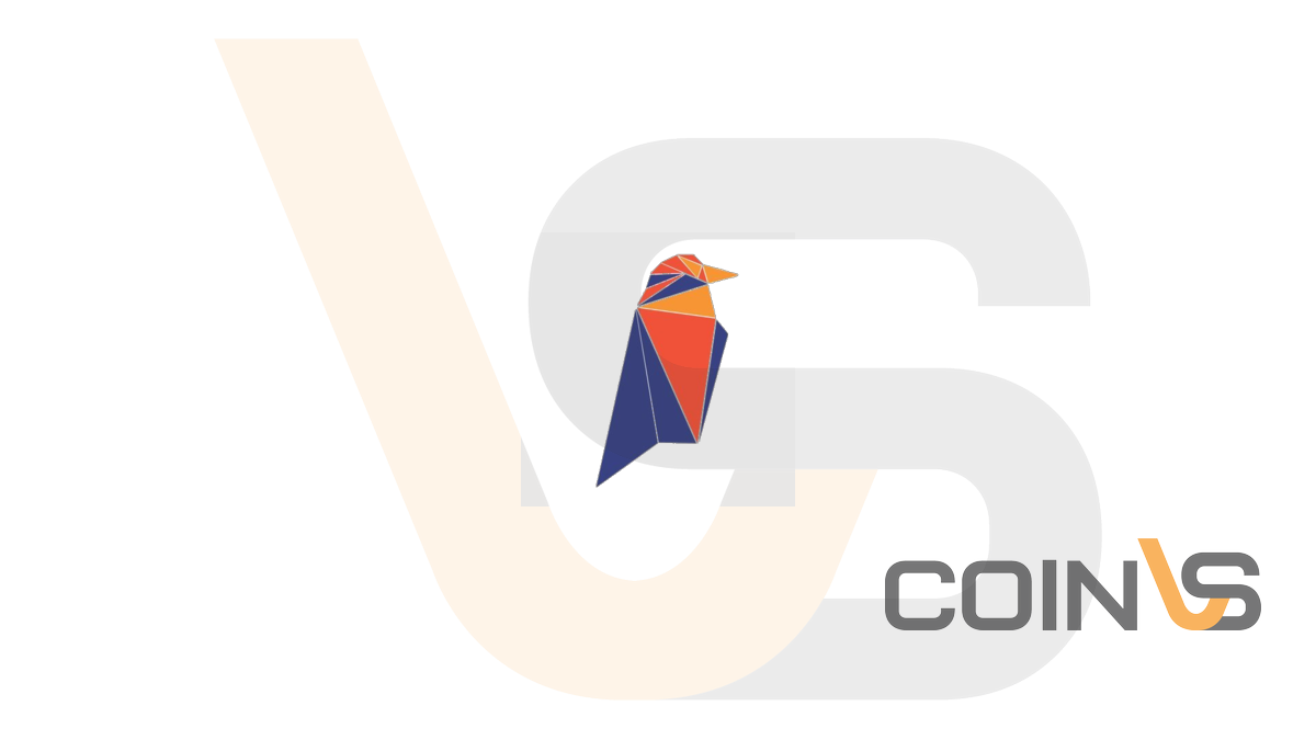 Ravencoin Fiyat Grafiği ve Borsaları, RVN Coin Nedir? - coinVS.net Türkçe